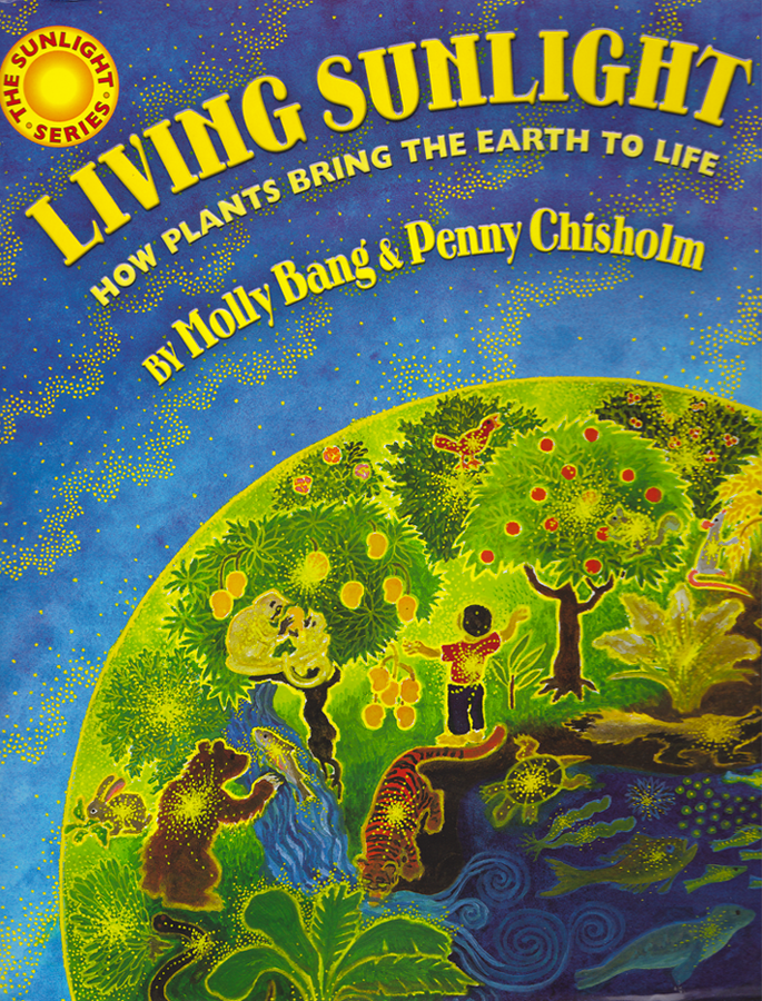 The Sunlight Series – Books about our living planet